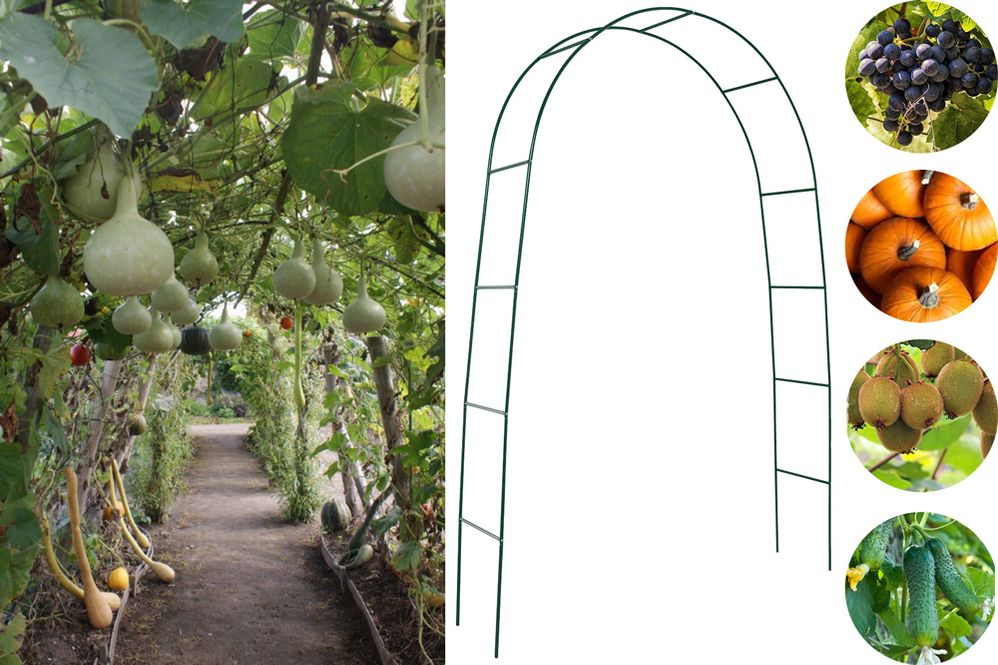 Come creare un giardino sensoriale | Leroy Merlin Come creare un giardino sensoriale | Leroy Merlin